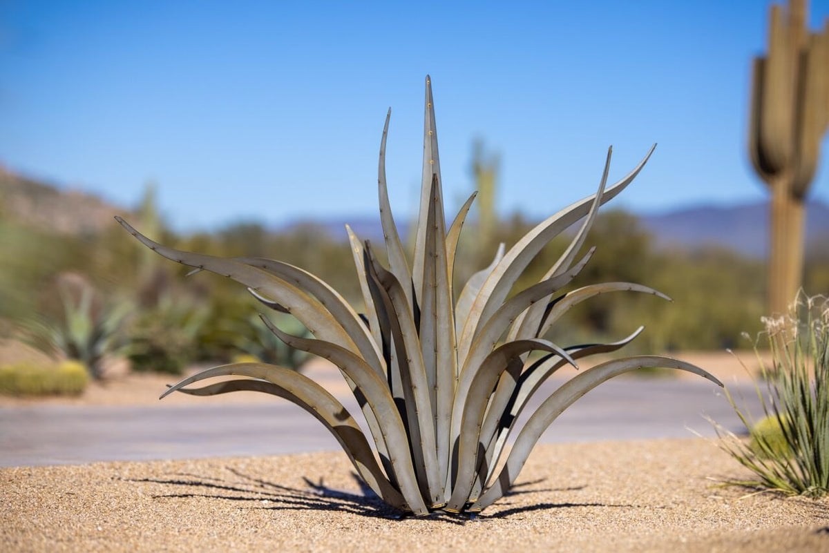 Assembling Your Desert Steel Agave: A Quick Start Guide