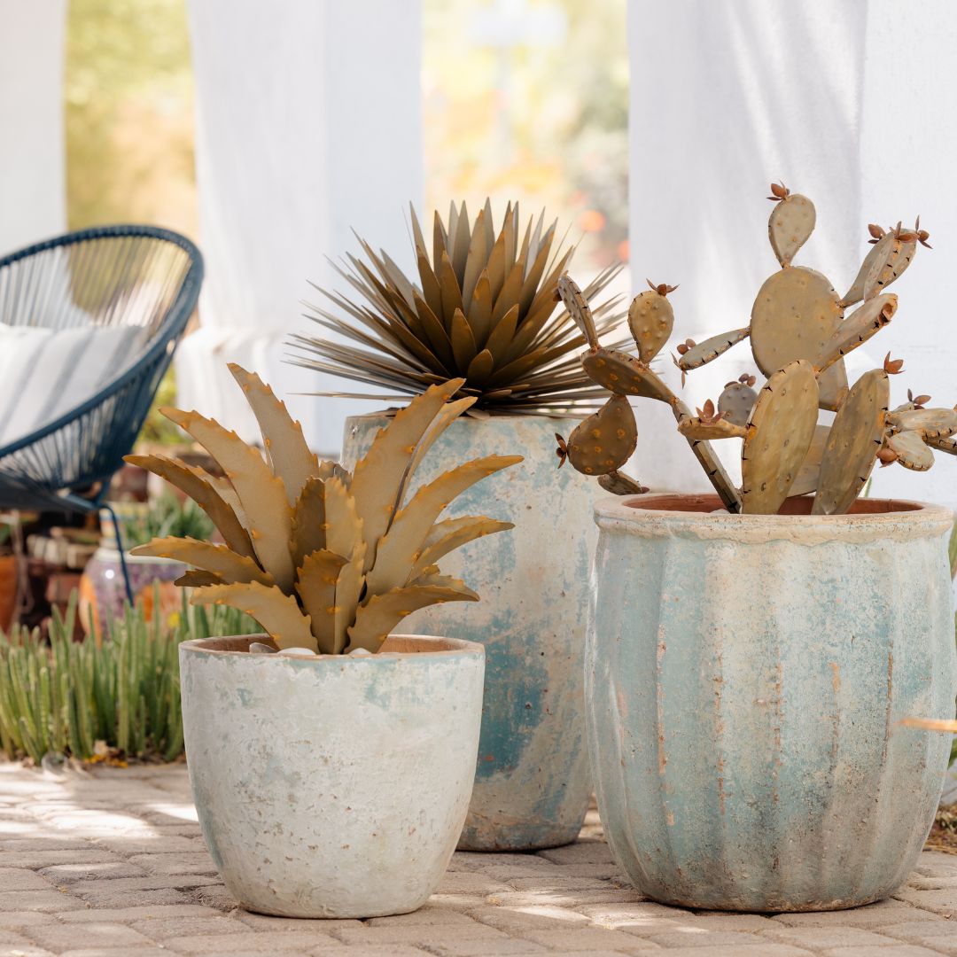4 Tips for Keeping Your Planters Looking Fresh | Desert Steel