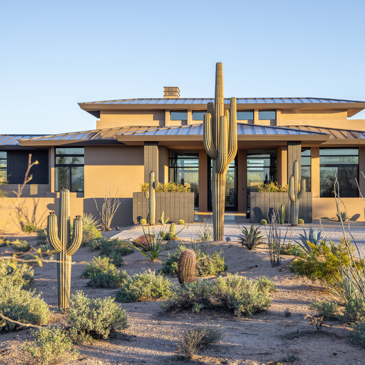 Metal Saguaro Cactus | Faux Saguaros | Desert Steel Yard Art