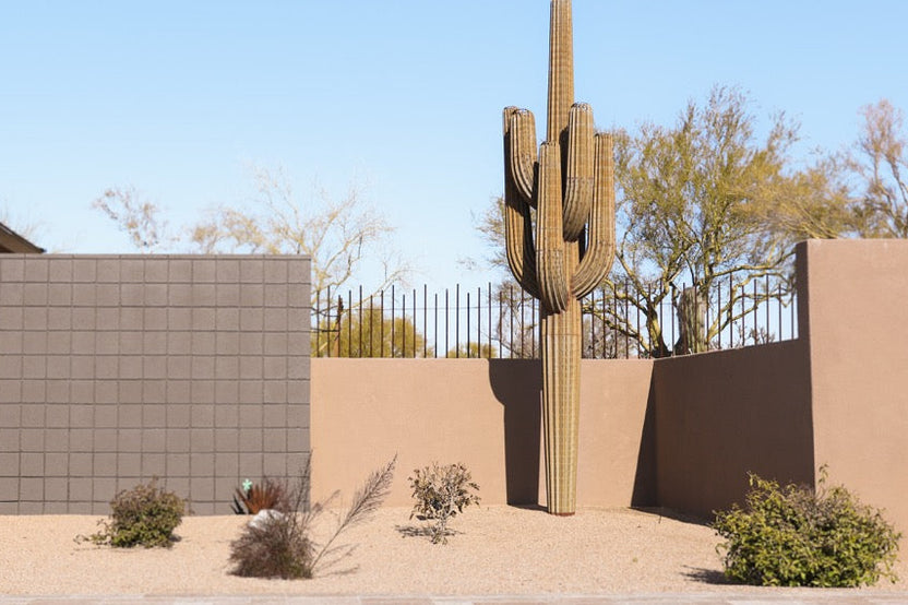 Metal Saguaro Cactus | Landscape Yard Art | Desert Steel