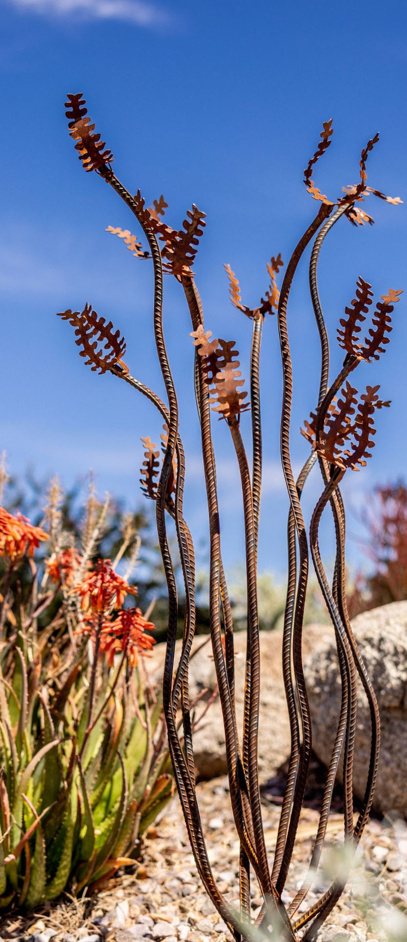Ocotillo | Metal Landscape Art | Desert Steel