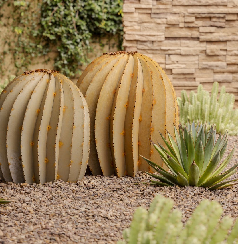 Fishhook Barrel Cactus | Metal Landscape Art | Desert Steel
