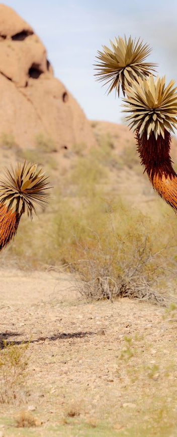 Artificial Joshua Tree | Metal Landscape Art | Desert Steel