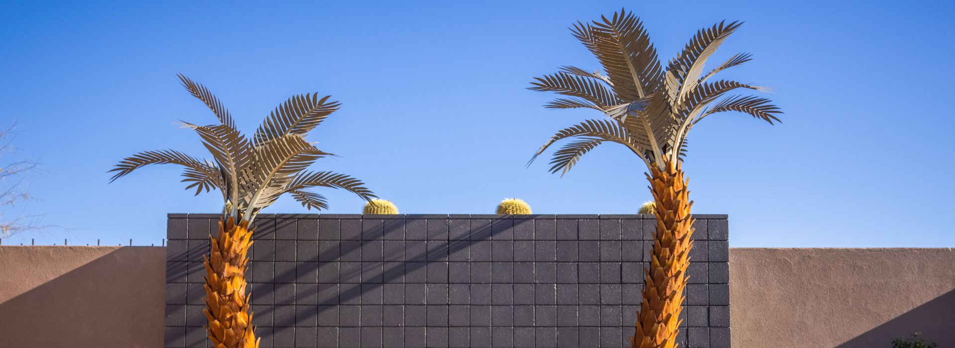 Where Do Palm Trees Grow in the United States? – Desert Steel