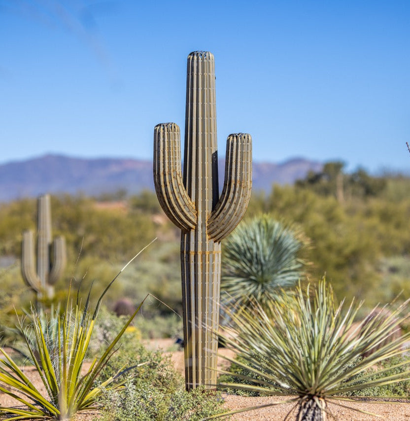 Metal Saguaro Cactus | Landscape Yard Art | Desert Steel