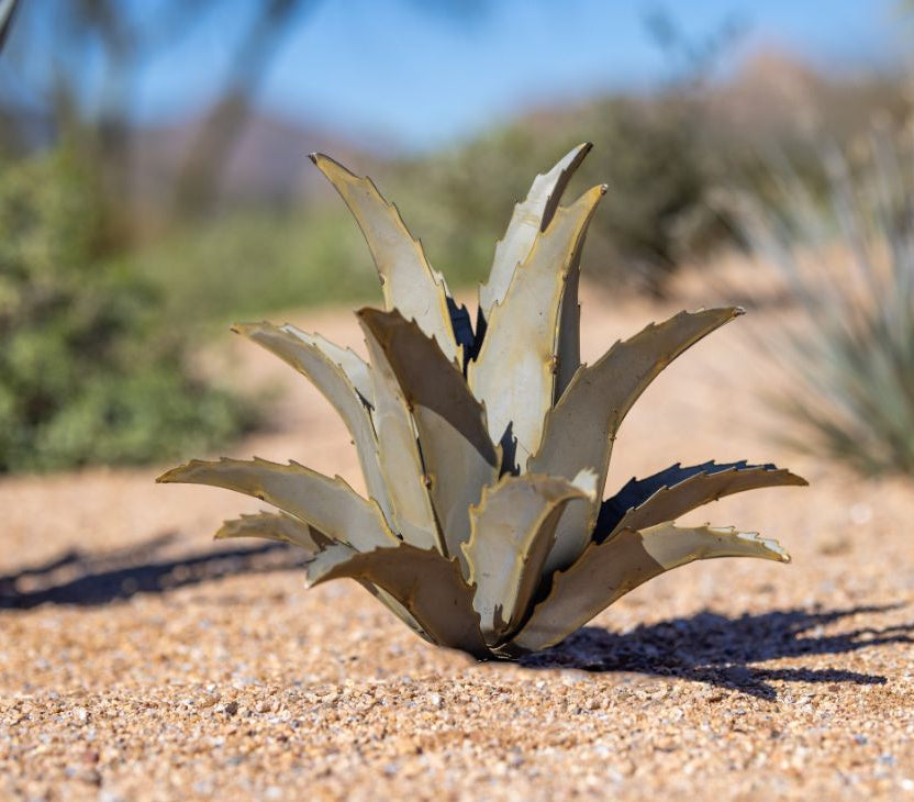 Metal Americana Agave | Landscape Yard Art | Desert Steel
