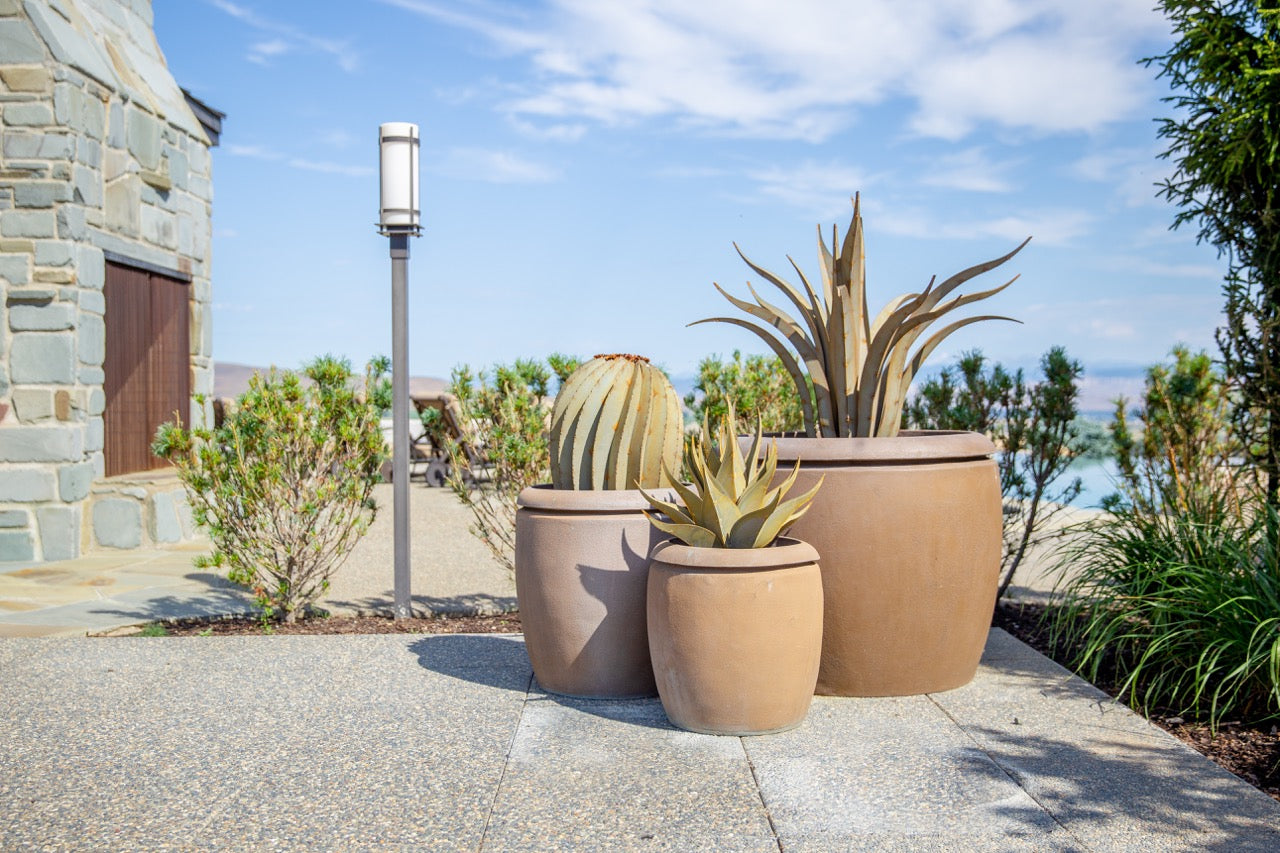 Metal Agave Plants | Faux Agaves | Desert Steel Yard Art