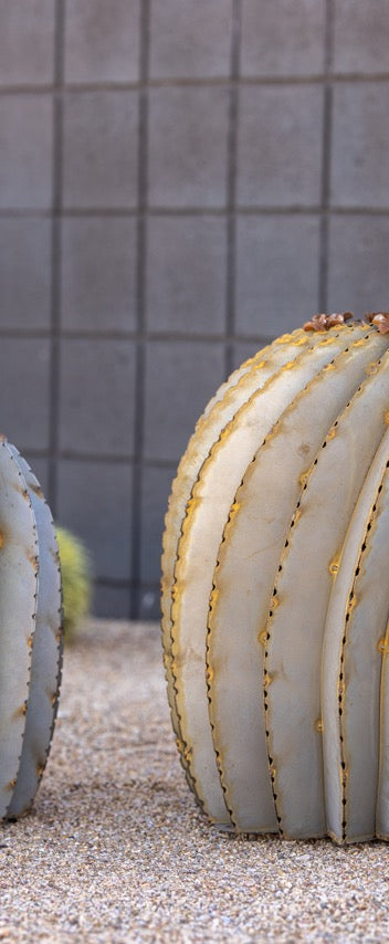 Fishhook Barrel Cactus | Metal Landscape Art | Desert Steel