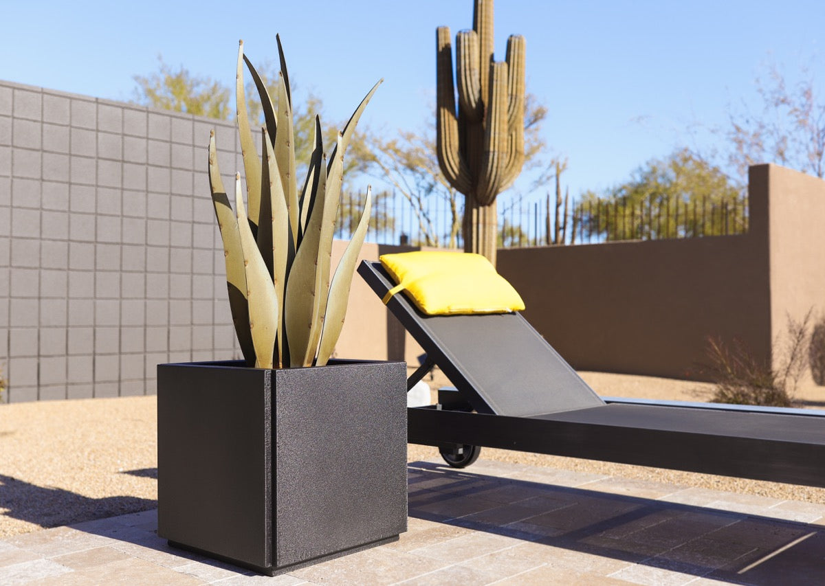 Emperor Agave | Metal Landscape Art | Desert Steel