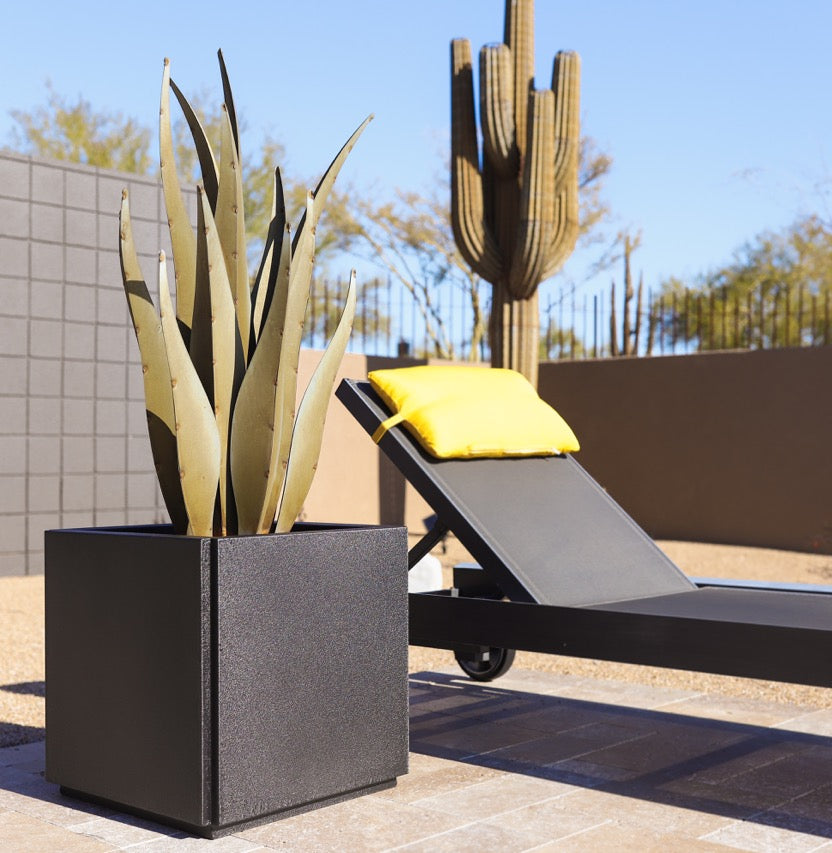 Emperor Agave | Metal Landscape Art | Desert Steel