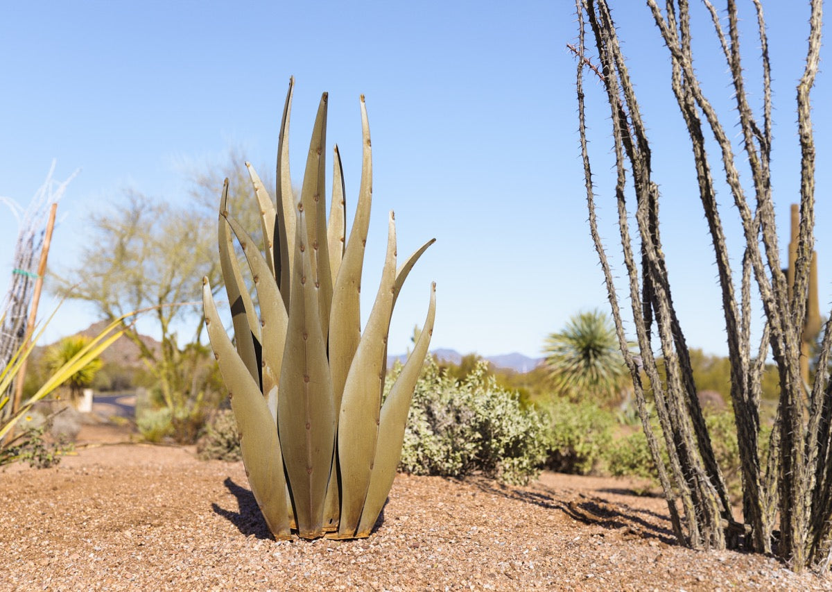 Emperor Agave | Metal Landscape Art | Desert Steel