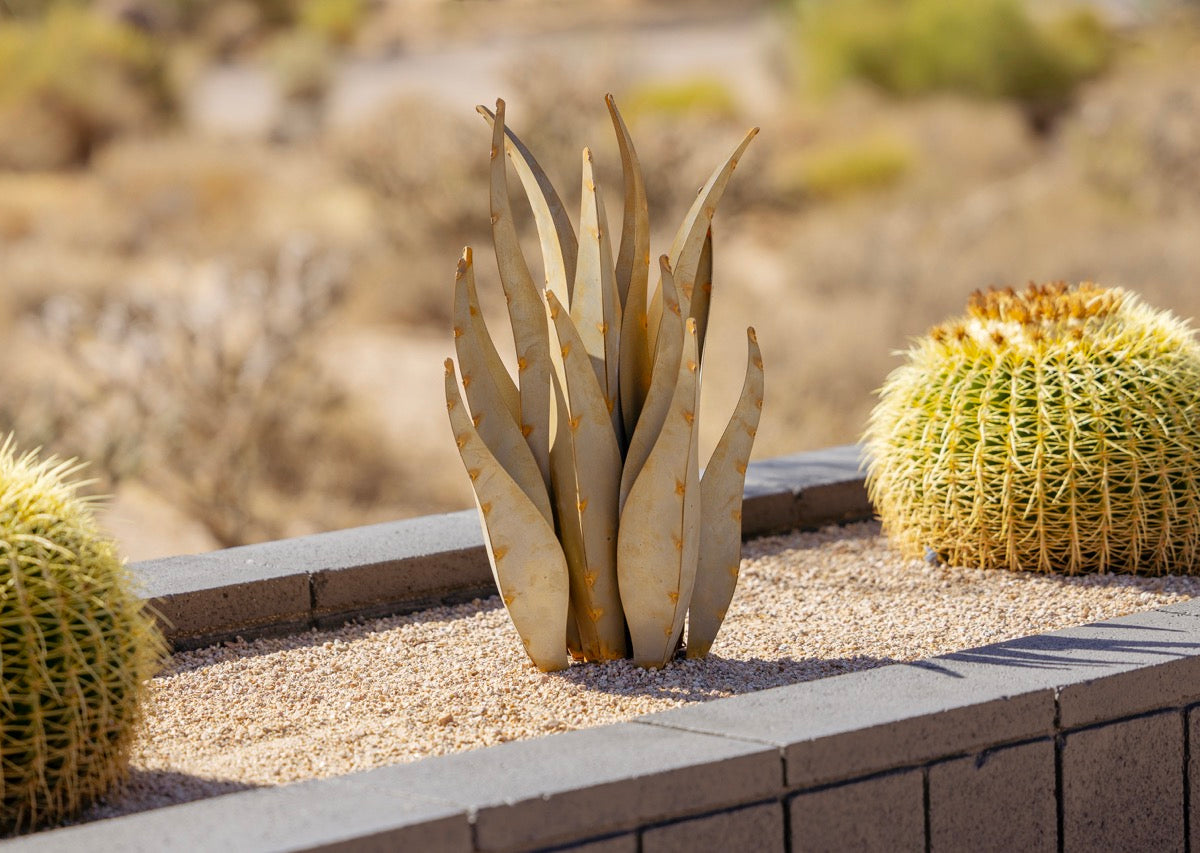 Emperor Agave | Metal Landscape Art | Desert Steel
