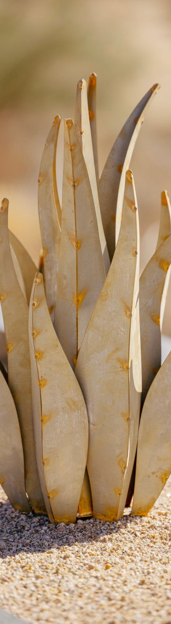 Emperor Agave | Metal Landscape Art | Desert Steel