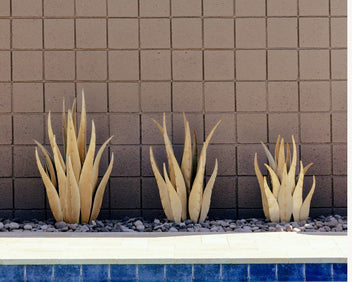 Emperor Agave | Metal Landscape Art | Desert Steel