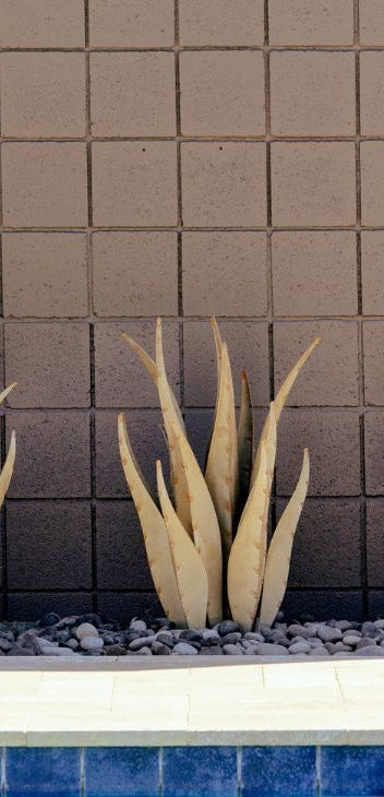 Emperor Agave | Metal Landscape Art | Desert Steel