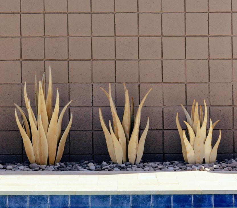 Emperor Agave | Metal Landscape Art | Desert Steel