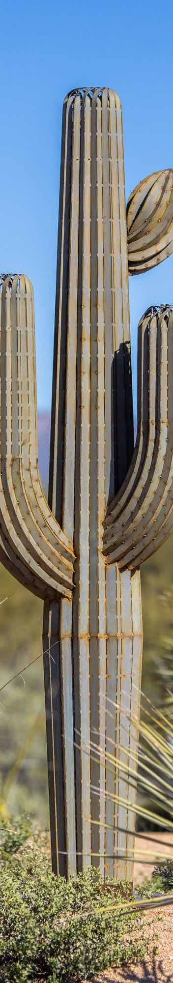 Saguaro Nub | Metal Landscape Art | Desert Steel