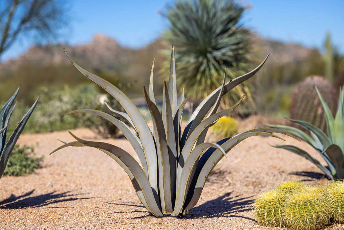 Metal Octopus Agave Sculpture | Metal Yard Art | Desert Steel