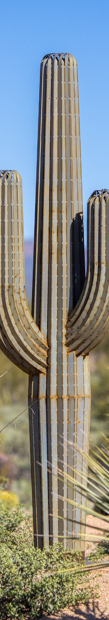 Saguaro Cactus | Metal Landscape Art | Desert Steel