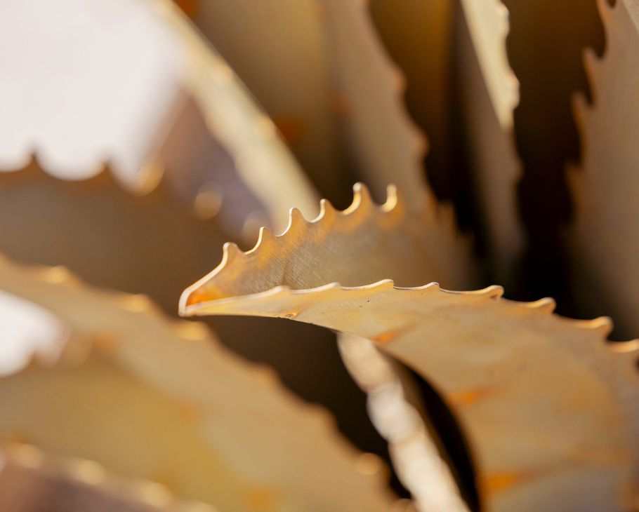 Sawtooth Agave | Metal Landscape Art | Desert Steel